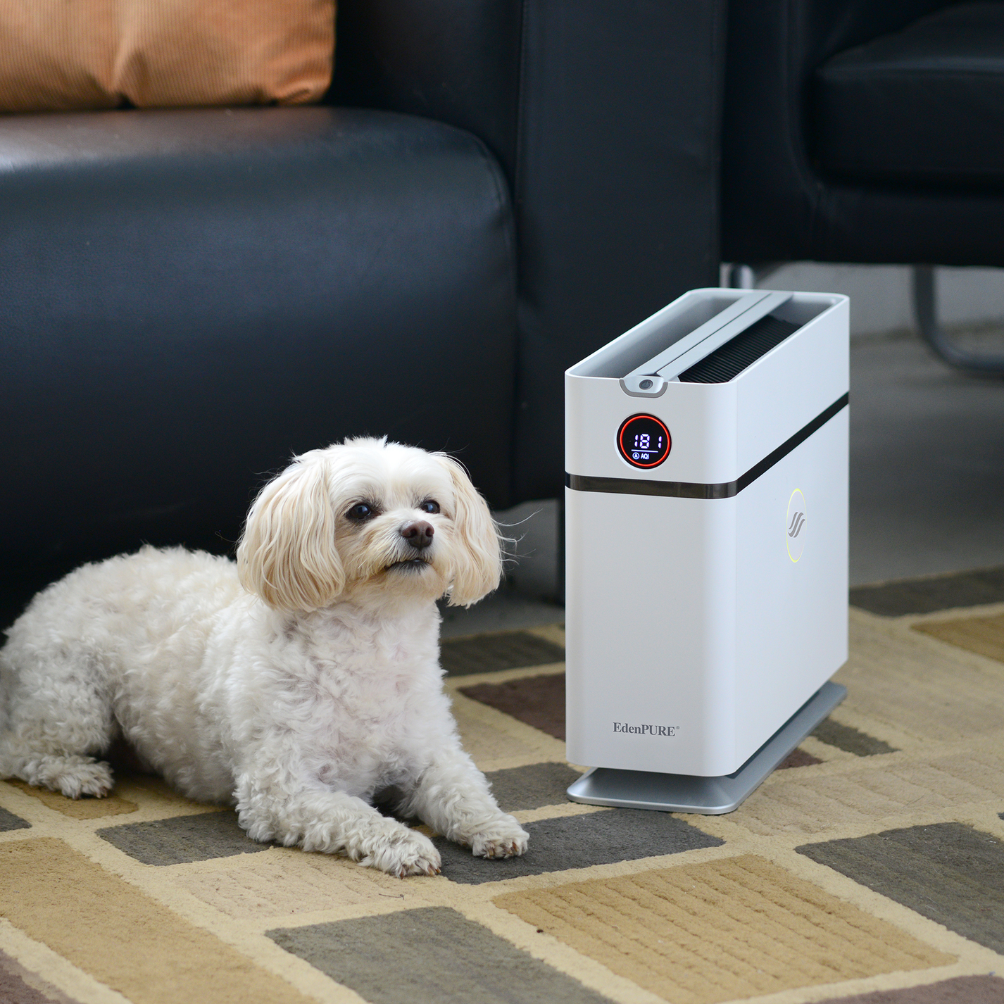 Edenpure Air Purifier Reviews