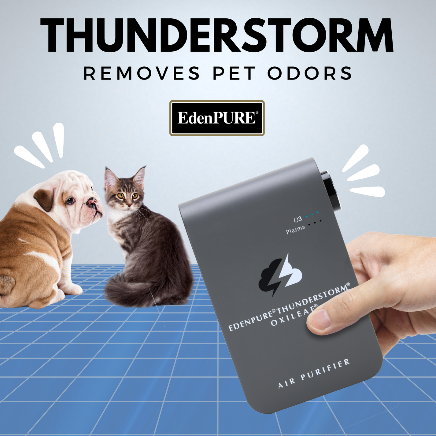 Thunderstorm Air Purifier Reviews